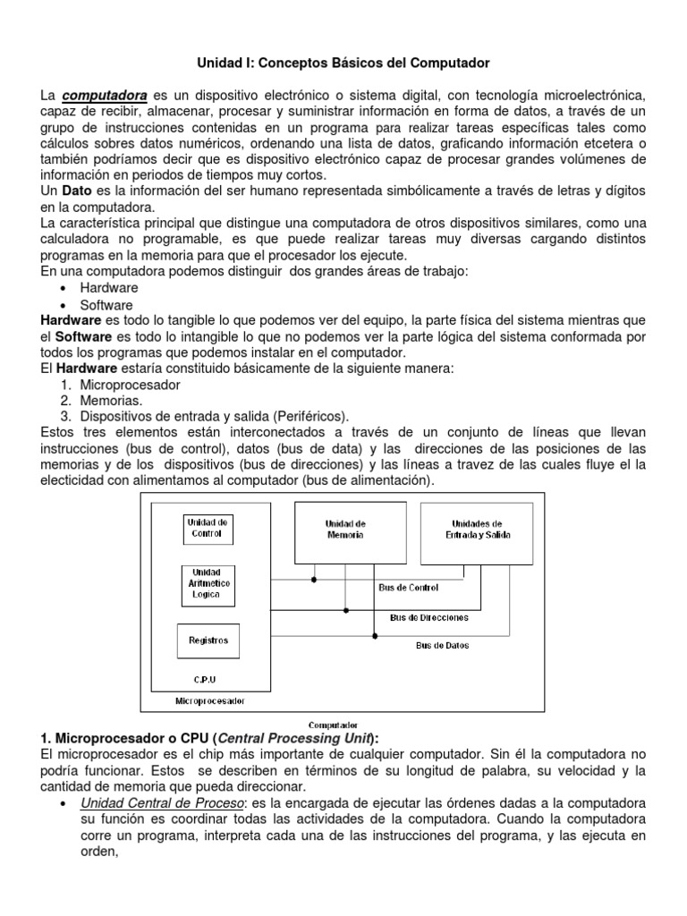 Programacion I Conceptos - Basicos | PDF | Hardware de la computadora | Programación