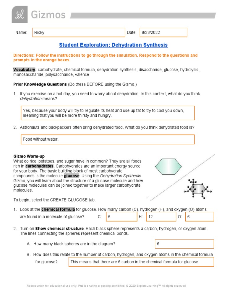 Ricardo Obregon Martinez - Macromolecules - Dehydration Synthesis Gizmo ...