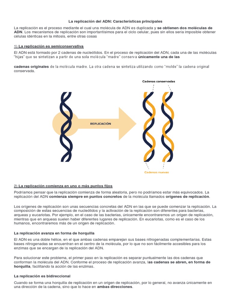 Replicacion y Transcripcion Del ADN - ARN 1era Parte | PDF | Replicación De Adn | Adn