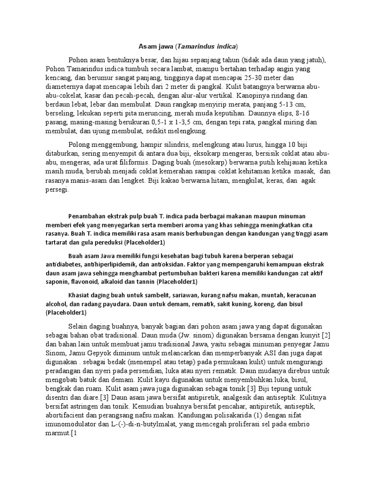 Essay Asam Jawa | PDF