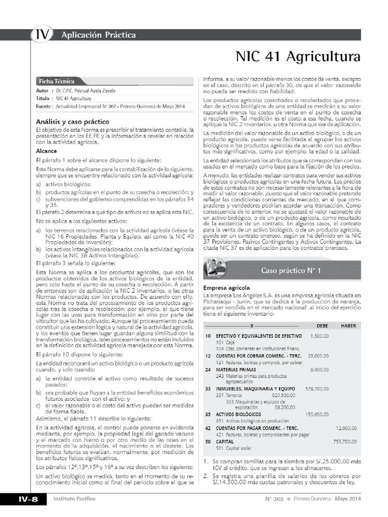 NIC 41 Análisis y Caso Práctico P. AYALA PDF | PDF