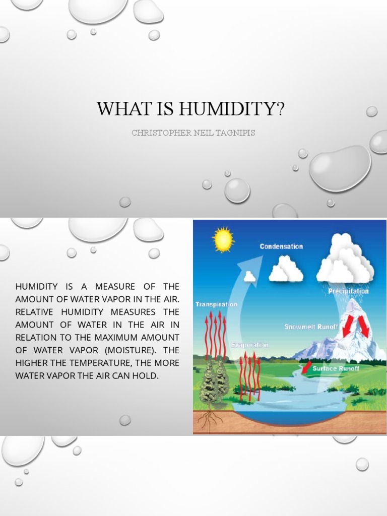 Hydrology Report Part 1 | Download Free PDF | Humidity | Water Vapor