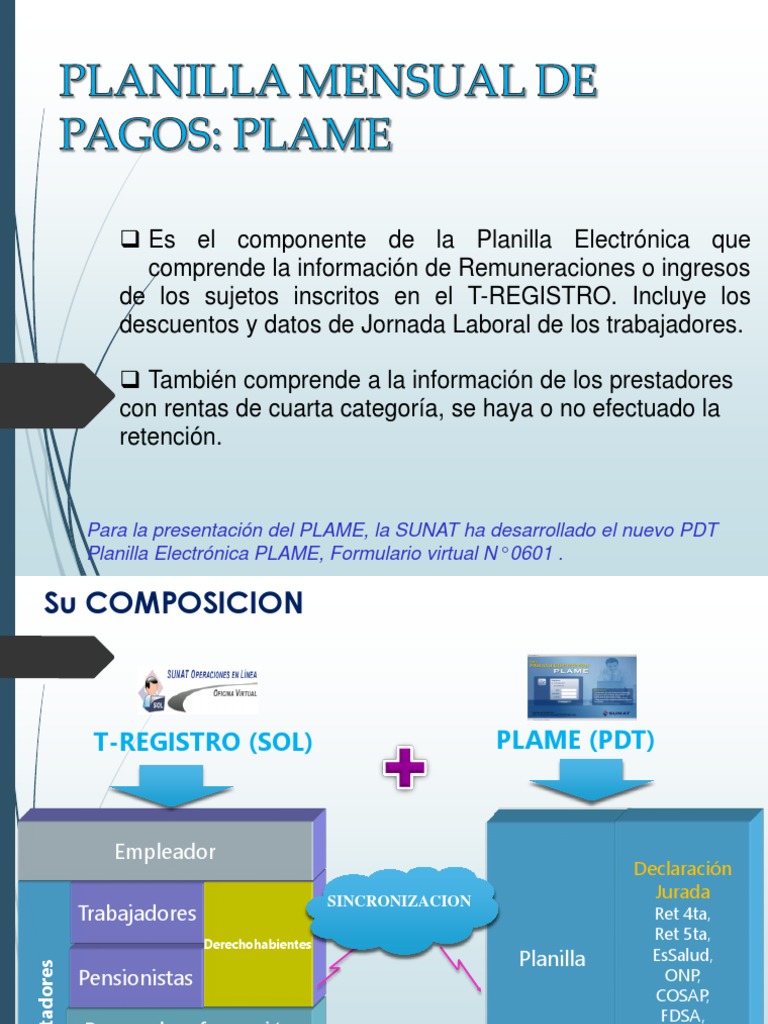 Guía sobre la Planilla Electrónica PLAME | PDF | Economias