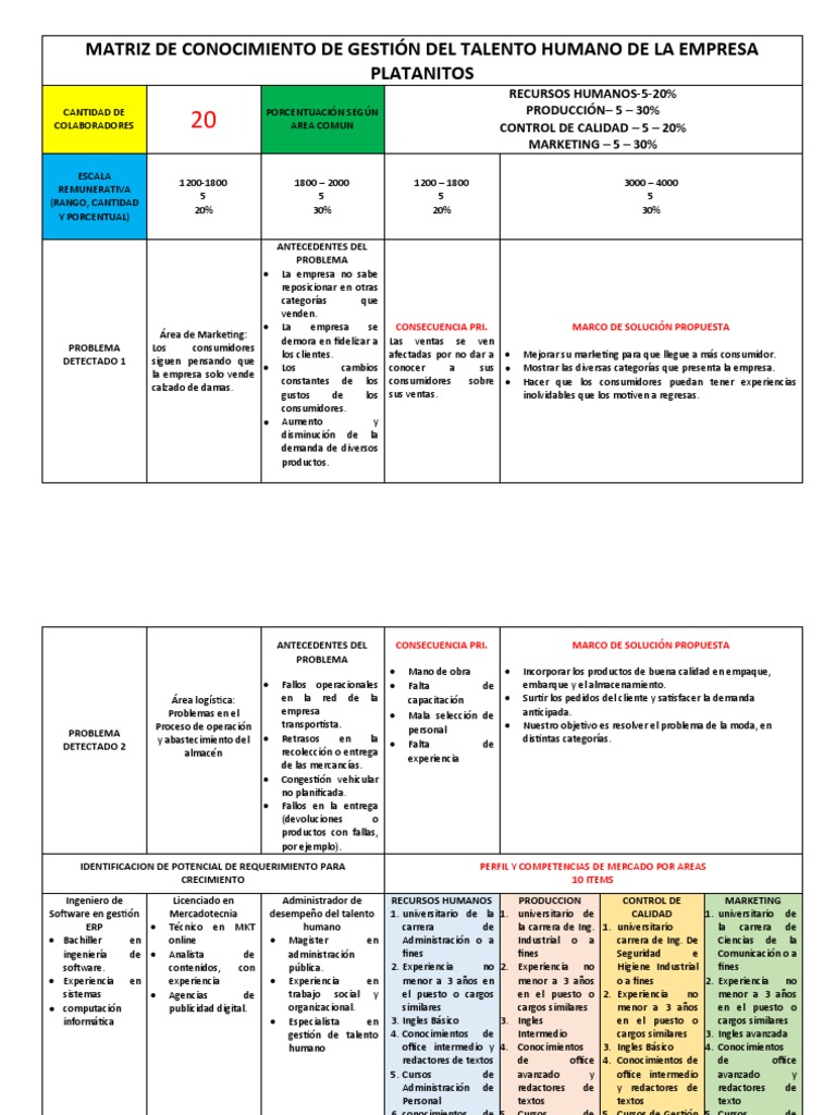 Matriz de Conocimiento de Gestión Del Talento Humano | PDF | Marketing ...
