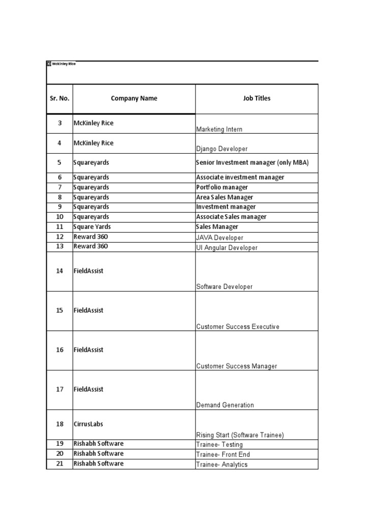 Mckinley Rice & Partner's JD | PDF | Skill | Computer Science