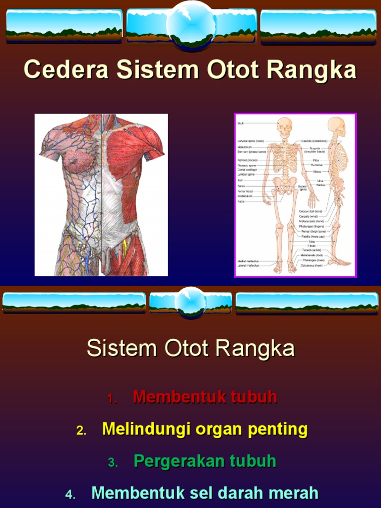 Cedera Otot Rangka | PDF