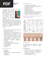 Clasificación Wagner del Pie Diabético | PDF | Epidemiología | Medicina