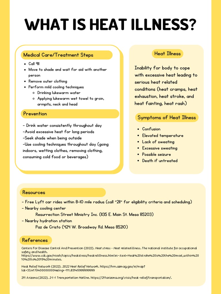 Have Got Has Got Possession Grammar Worksheet | PDF