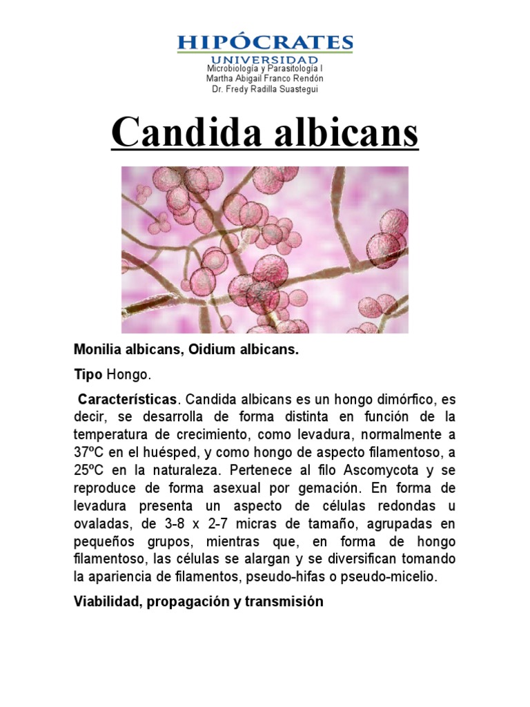 Candida Albicans | PDF