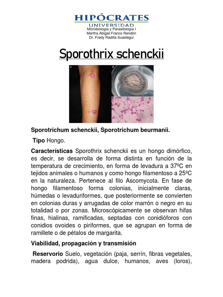 Sporothrix Schenckii | PDF