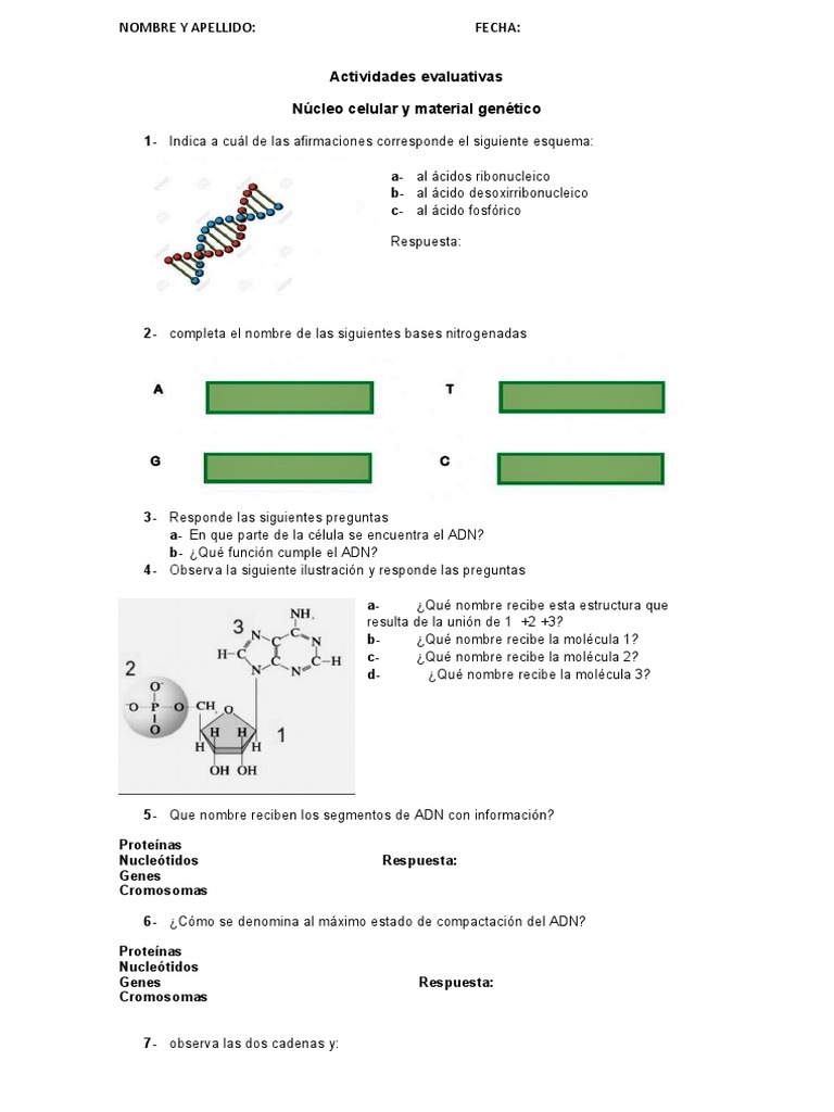C Material Genetico | PDF | Adn | Biología Celular)