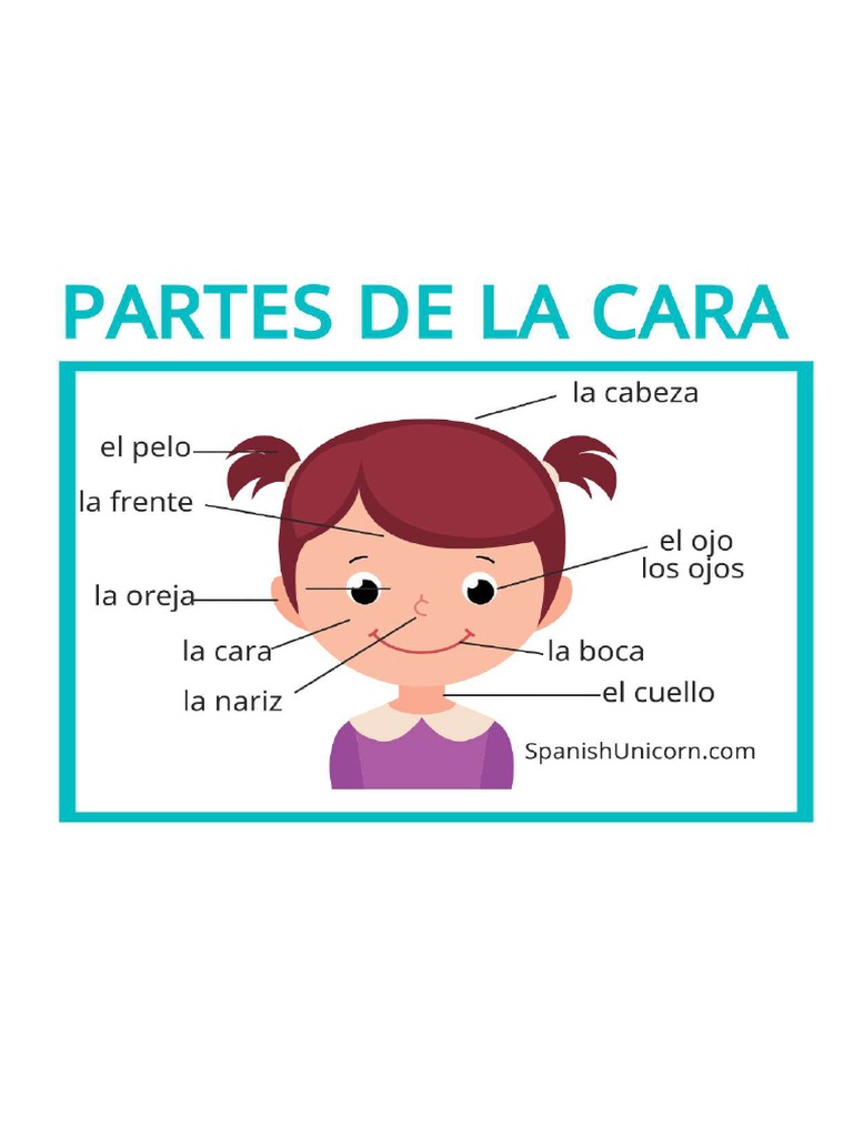 Partes de La Cara | PDF