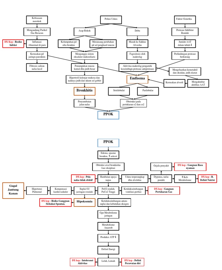 Woc Ppok Paliatif | PDF