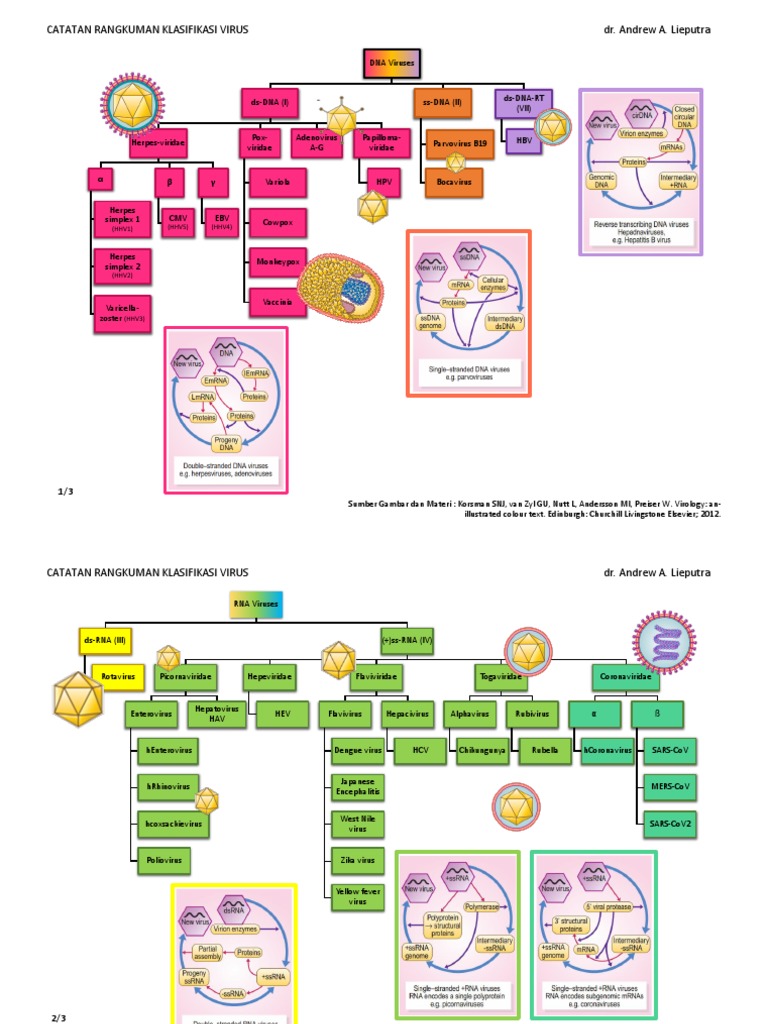 Klasifikasi Virus | PDF | Virus | Health Sciences