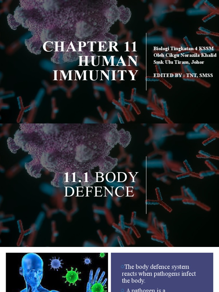 Bio T4 DLP KSSM Chapter 11 | PDF | Immune System | Phagocyte
