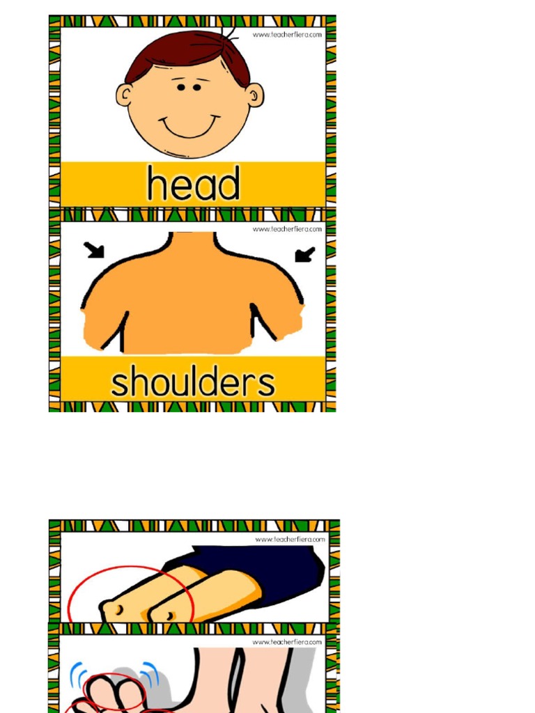 Flash Card My Body Y2 | PDF