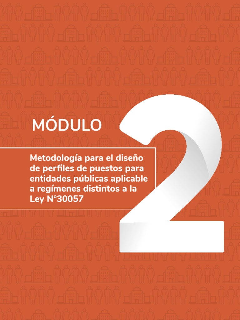 Perfiles Puestos Modulo2 | PDF | Gobierno local | Planificación