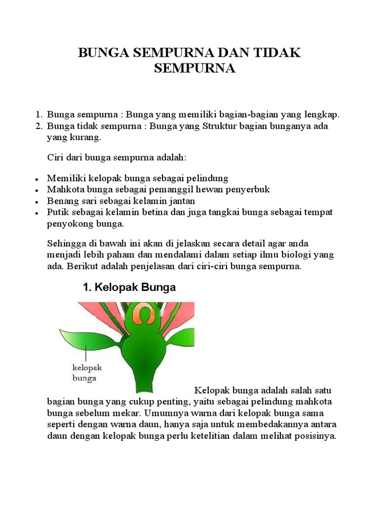 Bunga Sempurna Dan Tidak Sempurna | PDF