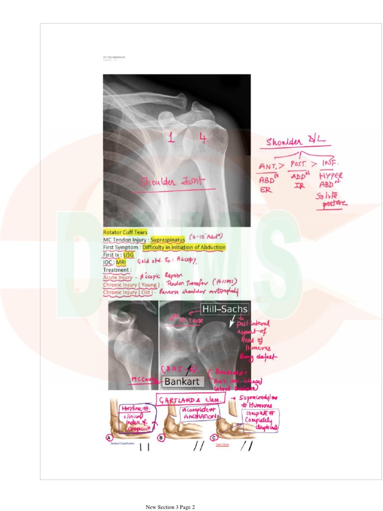 DAMS DVT 2025 Notes PDF Download | PDF