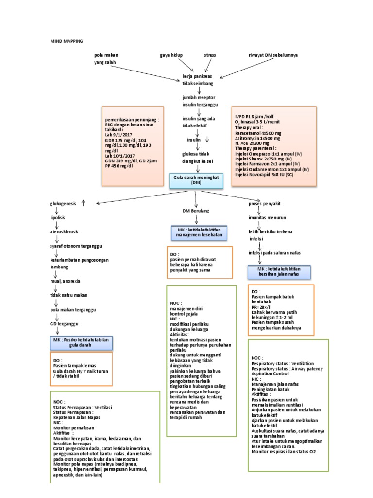 MIND MAP DIABETES | PDF