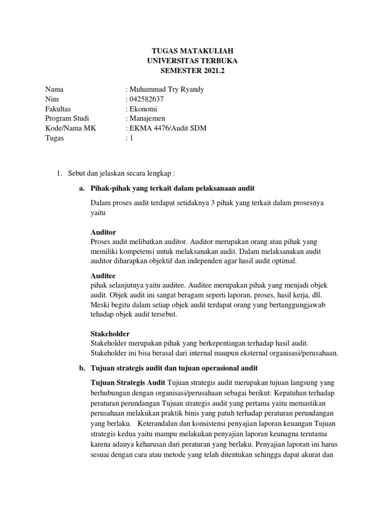Tugas 1 Audit SDM | PDF