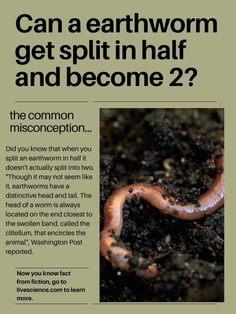 Earthworm Poster | PDF | Philosophy | General Fiction