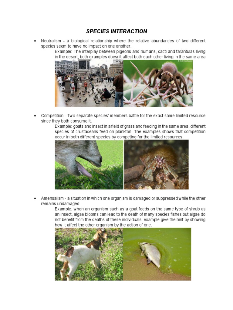 ACT3 | PDF | Symbiosis | Predation