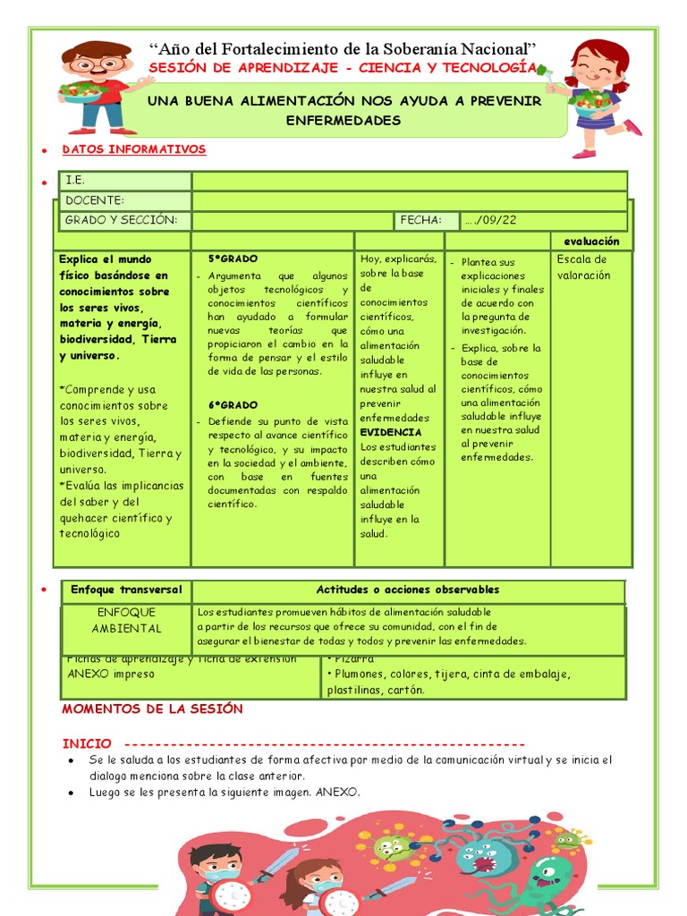 Ses Vier Cy T | PDF | Anemia | Alimentos