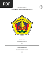 Laporan Interpretasi Rmib | PDF