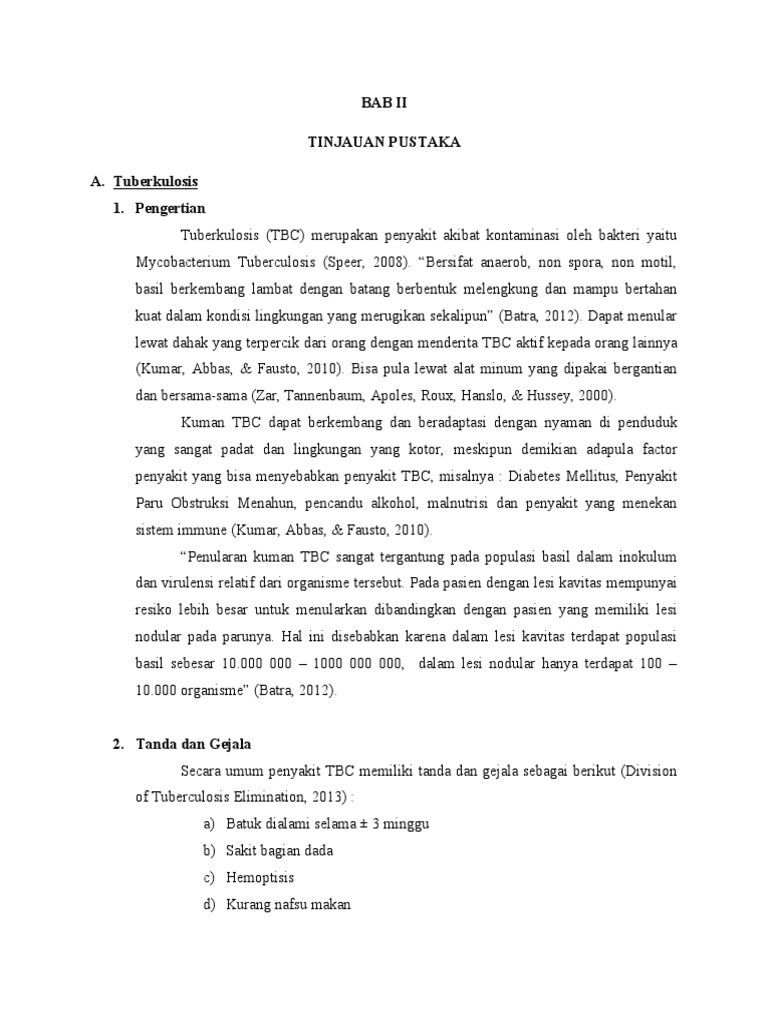 Tinjauan Pustaka Bab 2 | PDF