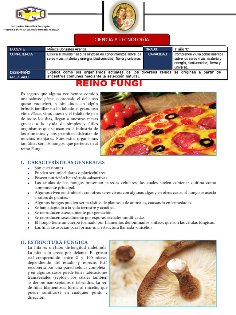 2 Reino Fungi | PDF | Hongo | Penicilina