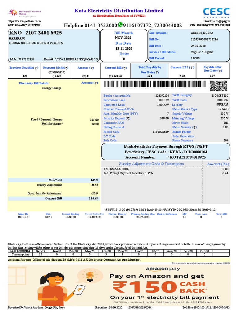 Electricity Bill for November 2020 with Details on Electricity Usage ...
