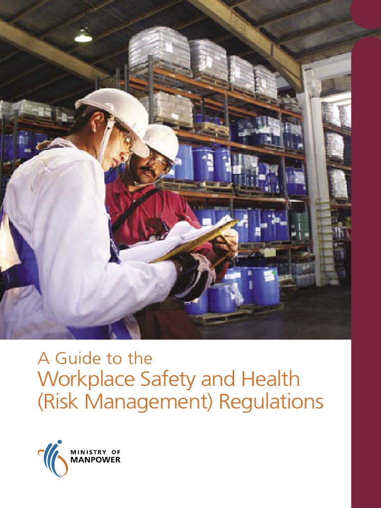 Guideto Risk MGT Regver 20 | PDF | Occupational Safety And Health | Risk