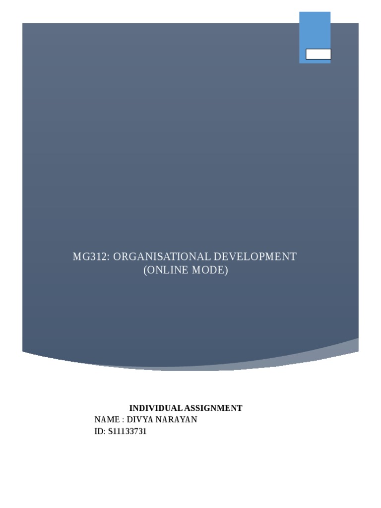 MG312 Major Assignment S11133731 | PDF | Mobile Phones | Internet