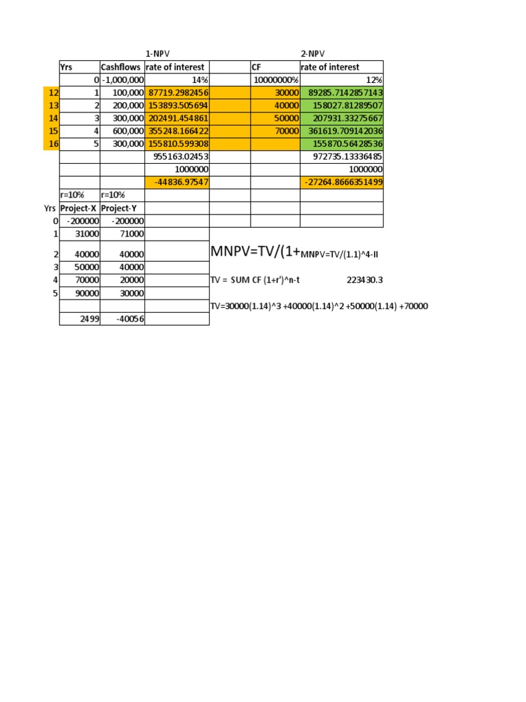 NPV and IRR Calculations in Excel | PDF
