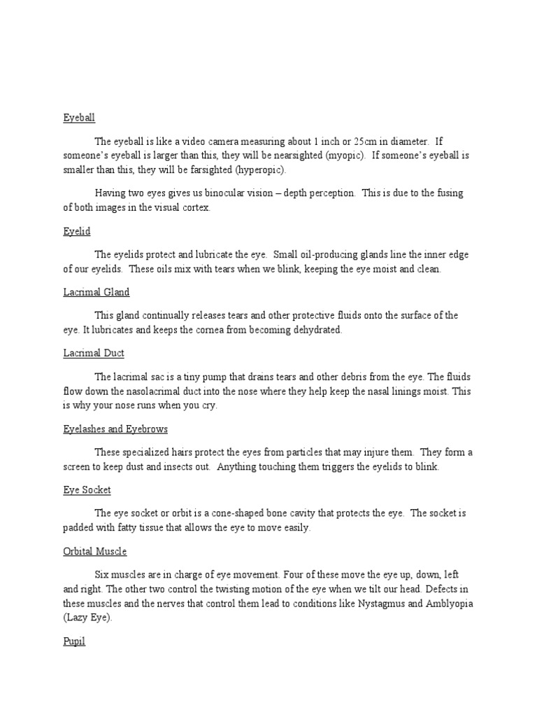 Notes On Eyes | PDF | Retina | Visual System