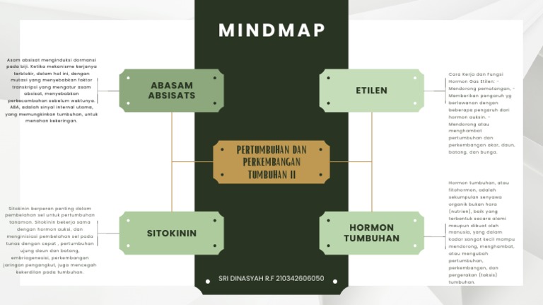 28 - Sri Dinasyah - Mind Map Pertumbuhan Dan Perkembangan Tumbuhan II | PDF