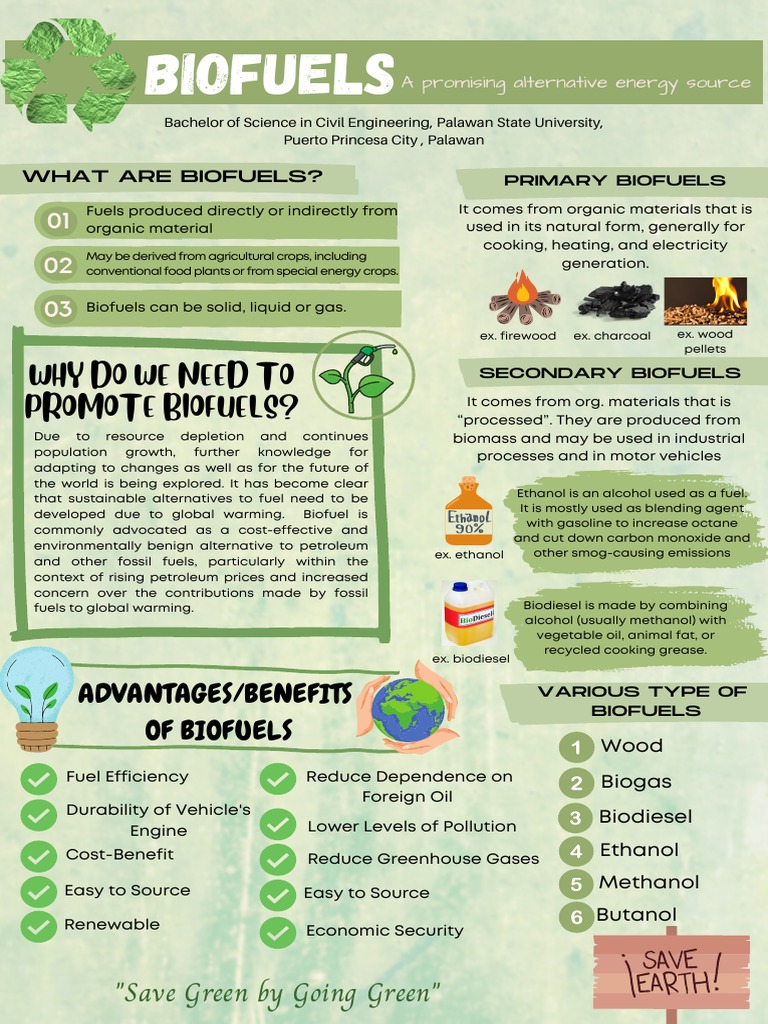 Bio-Fuel Poster | PDF | Biofuel | Fuels
