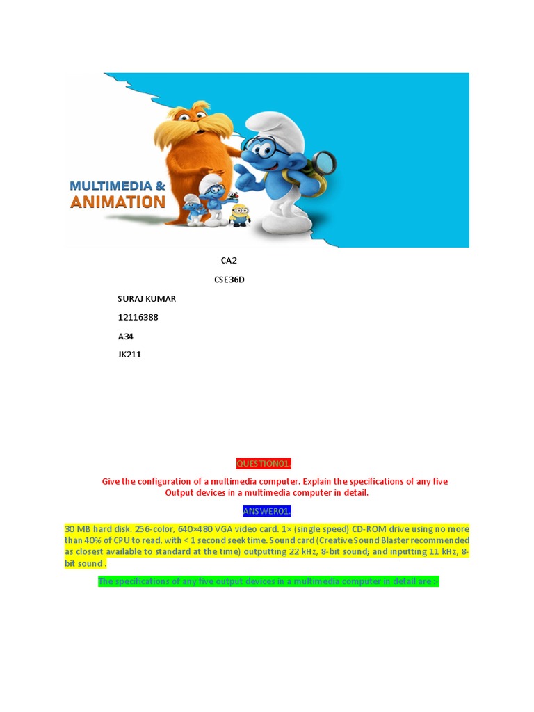 CA2 of 36d Suraj | PDF | Window (Computing) | Adobe Flash
