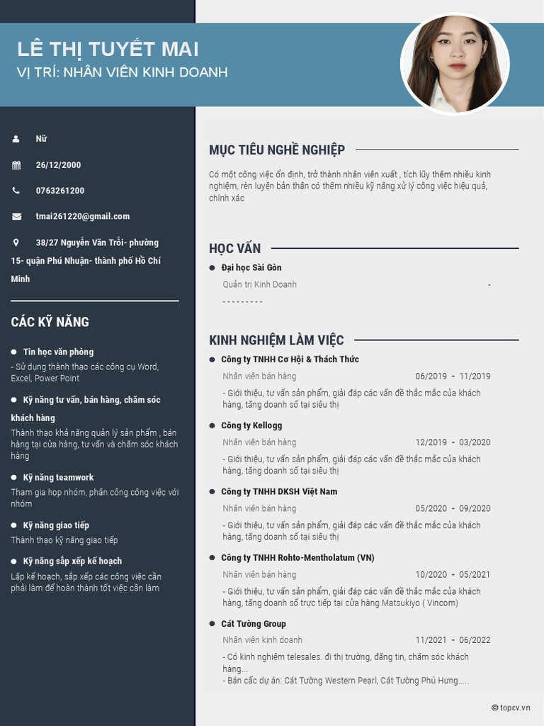 CV - Le Thi Tuyet Mai - Nhan Vien Kinh Doanh | PDF