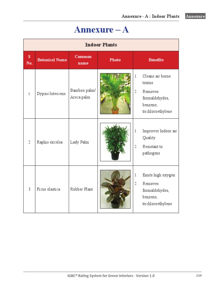 Indoor Plants - Reference Species | PDF