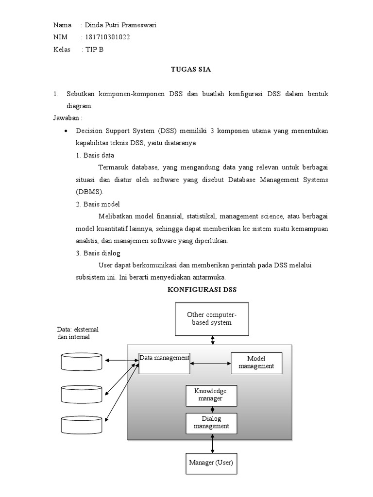 Tugas Sia: Data: Eksternal Dan Internal Data Management Model Management | PDF | Komputer