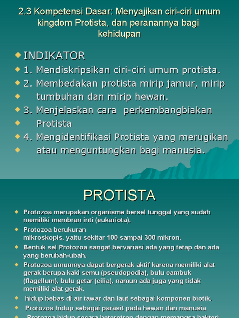3.6 Protista Mirip Hewan | PDF