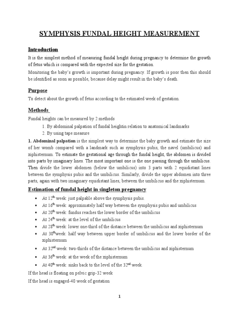 Fundal Height Measurement | PDF | Uterus | Childbirth