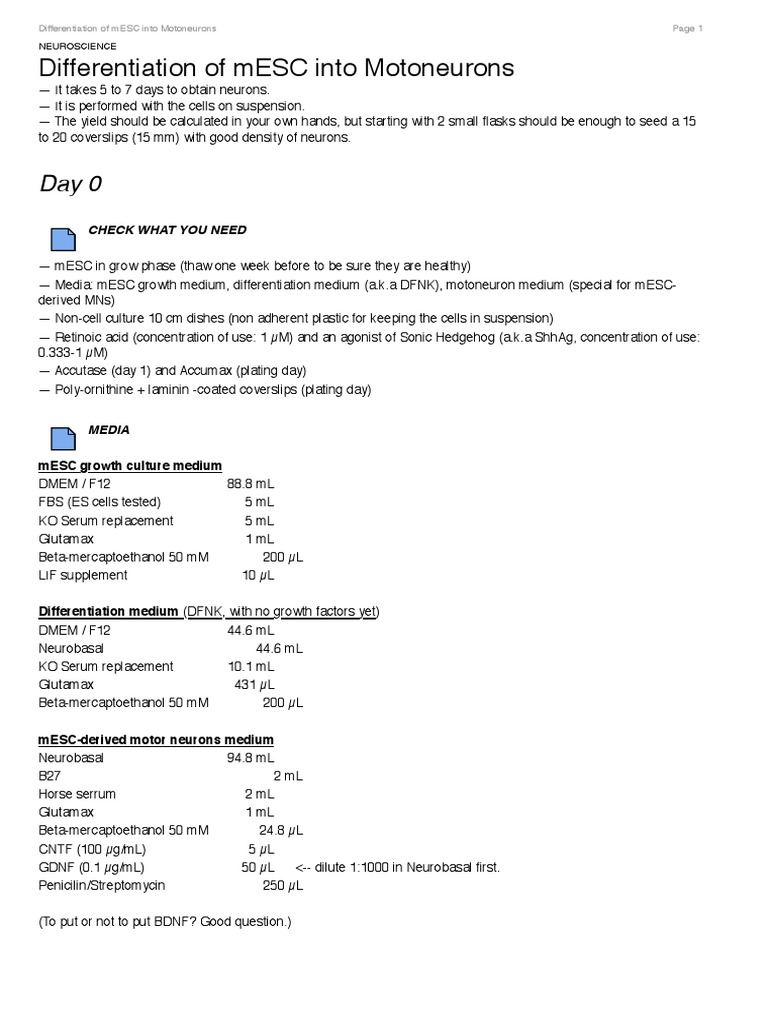 Differentiation of mESC Into Motoneurons | PDF | Motor Neuron | Cell Biology