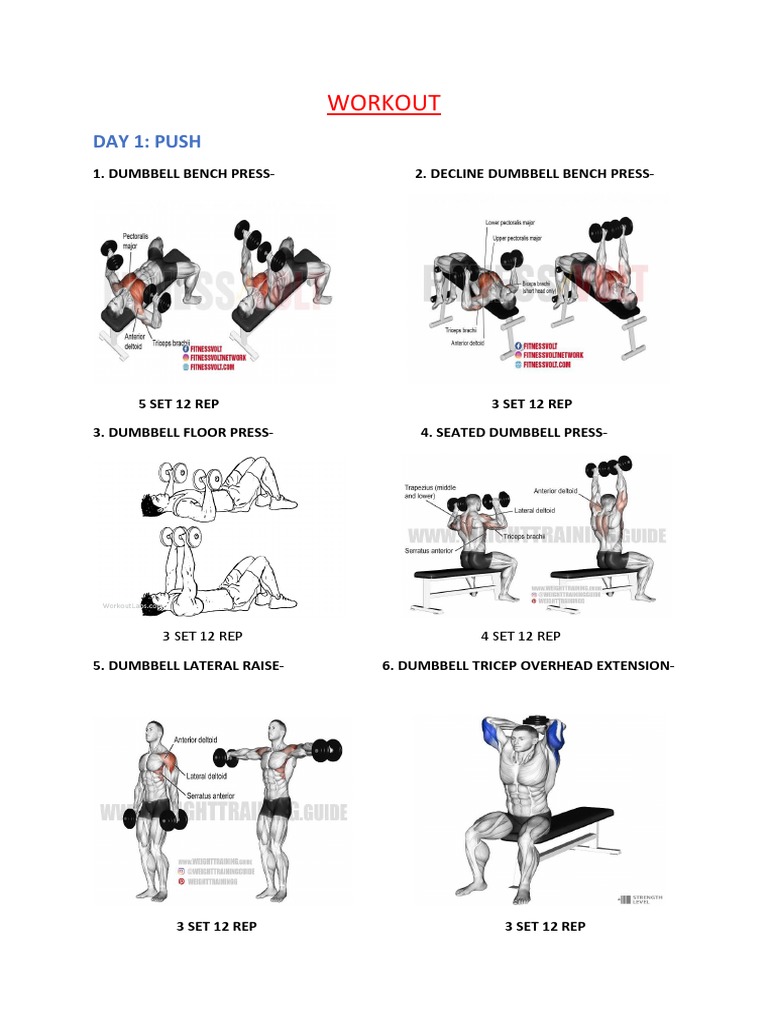 A Comprehensive 6-Day Dumbbell Full-Body Workout Split Focusing on Push ...