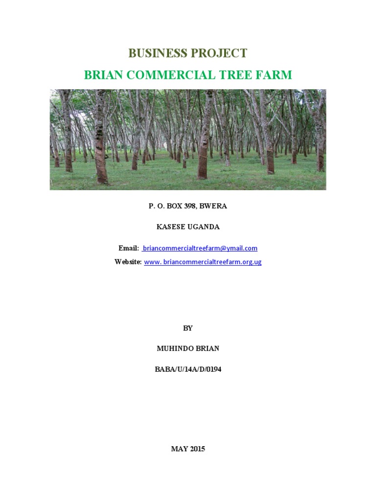 Commercial Tree Plantation Business Plan | PDF | Value Added Tax | Expense