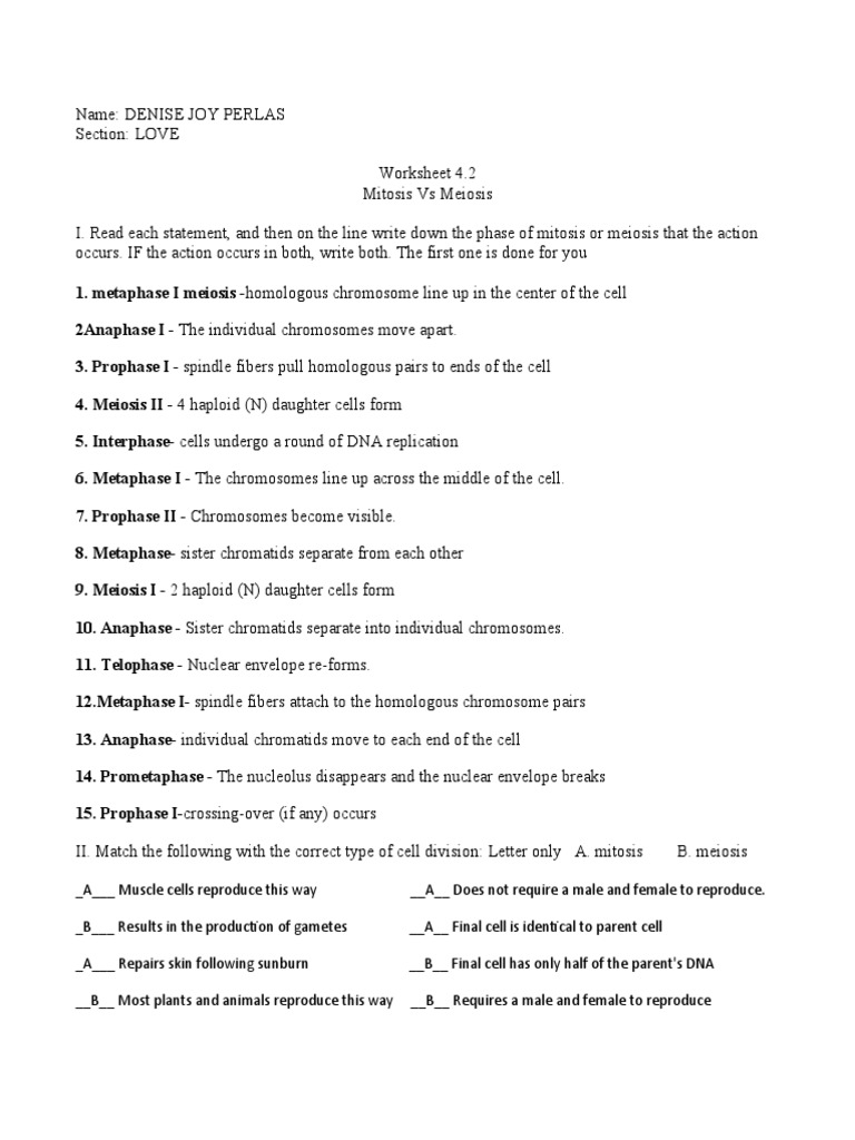 Mitosis and Meiosis Comparison Worksheet | PDF | Meiosis | Mitosis