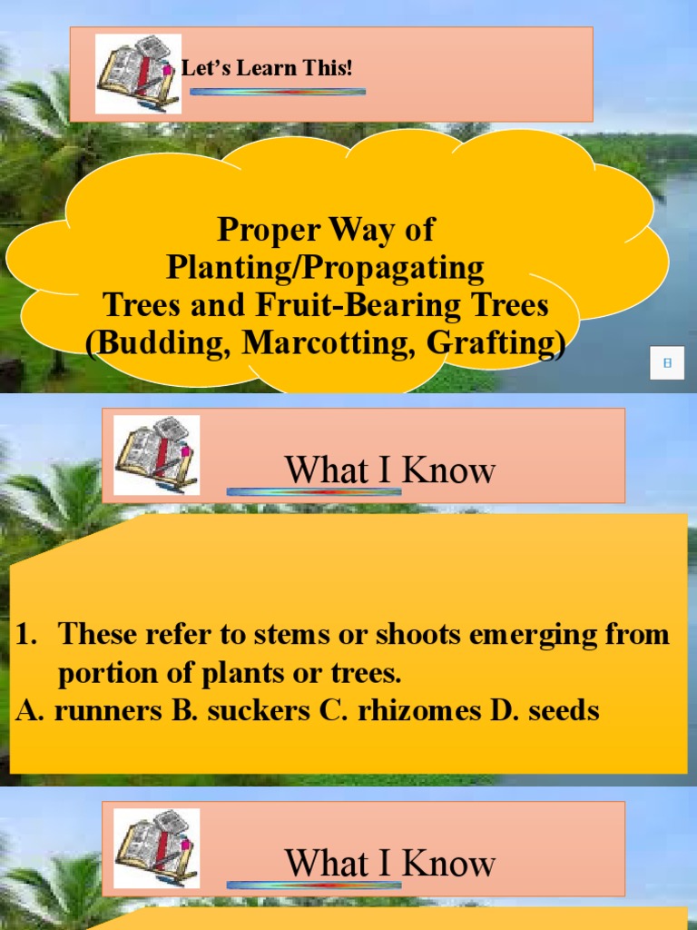 A Comprehensive Guide to Propagating Fruit Trees Through Cuttings ...