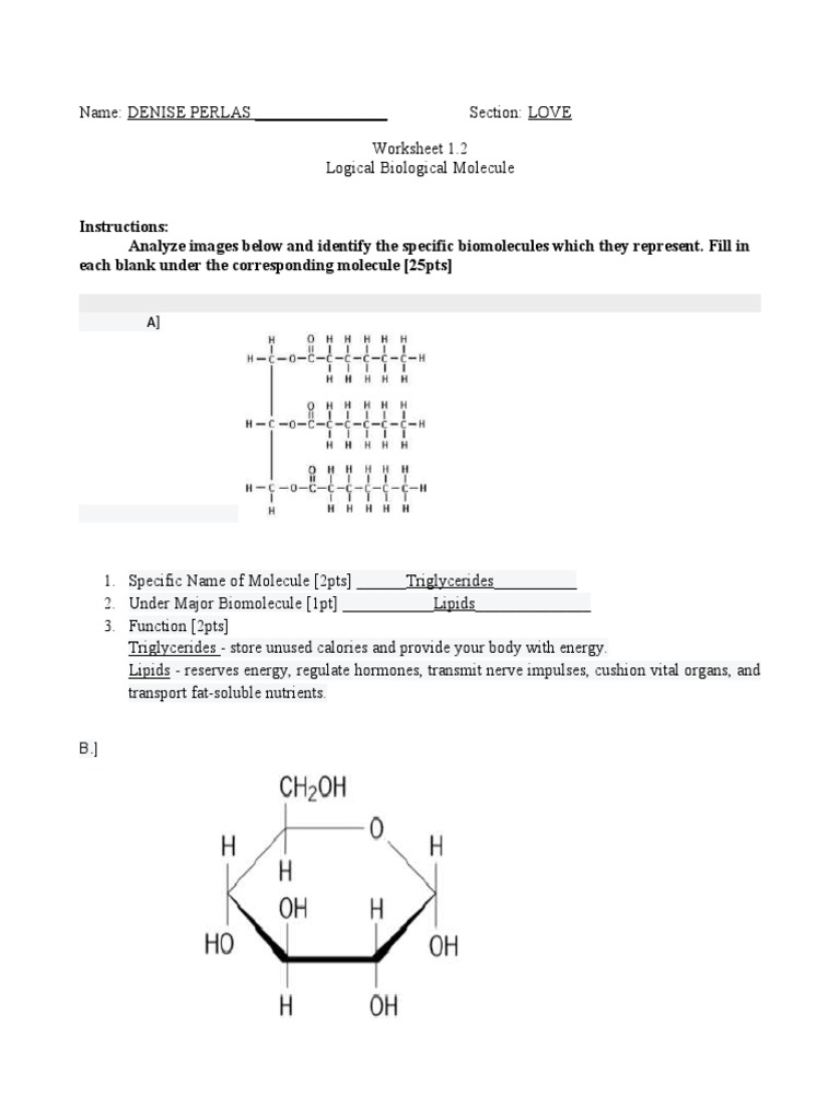 Worksheet 1.1 Logical Biological Molecule 1 | PDF | Science & Mathematics